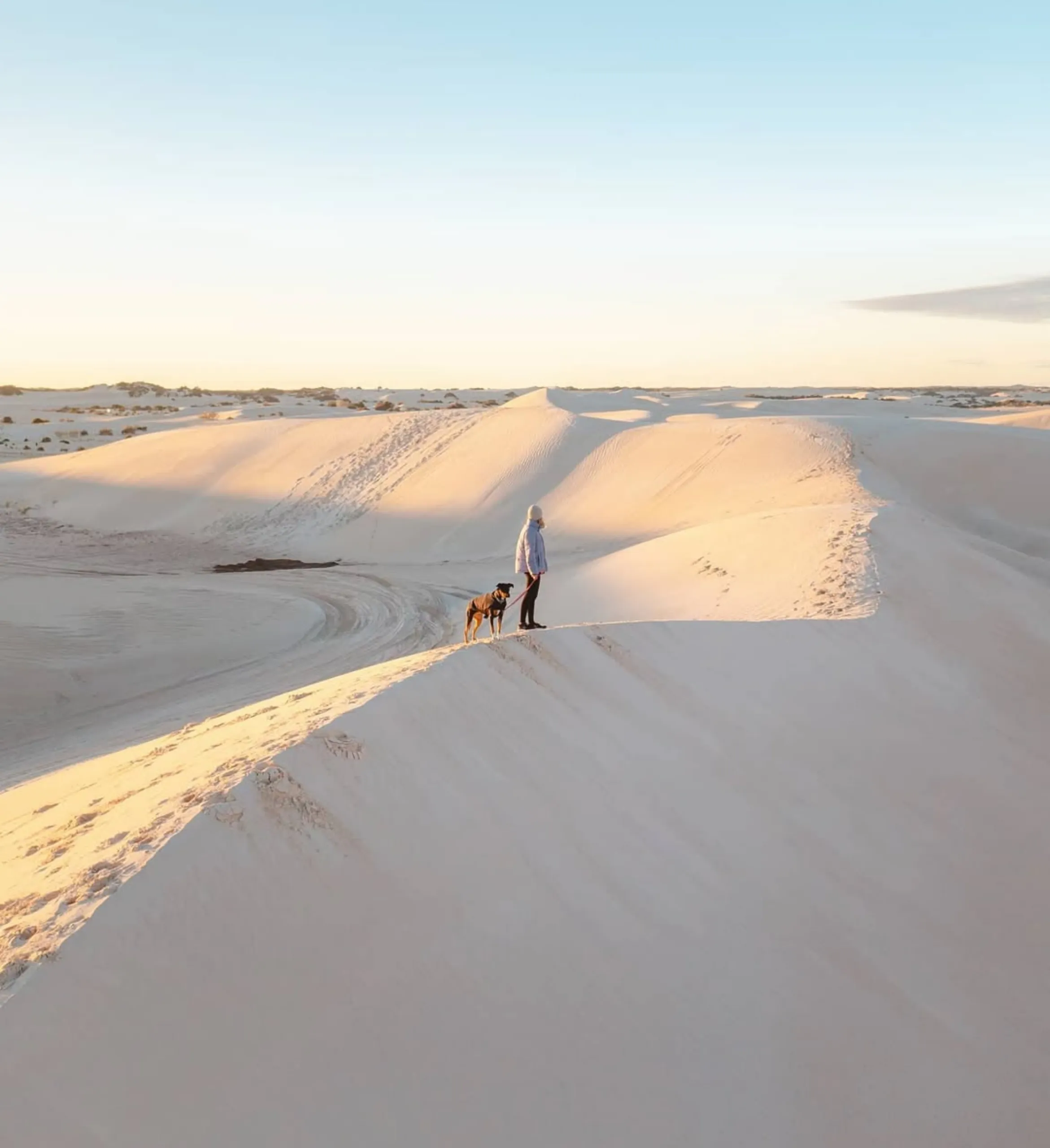 Pinnacles Desert Sandboarding: Thrills in the Australian Outback