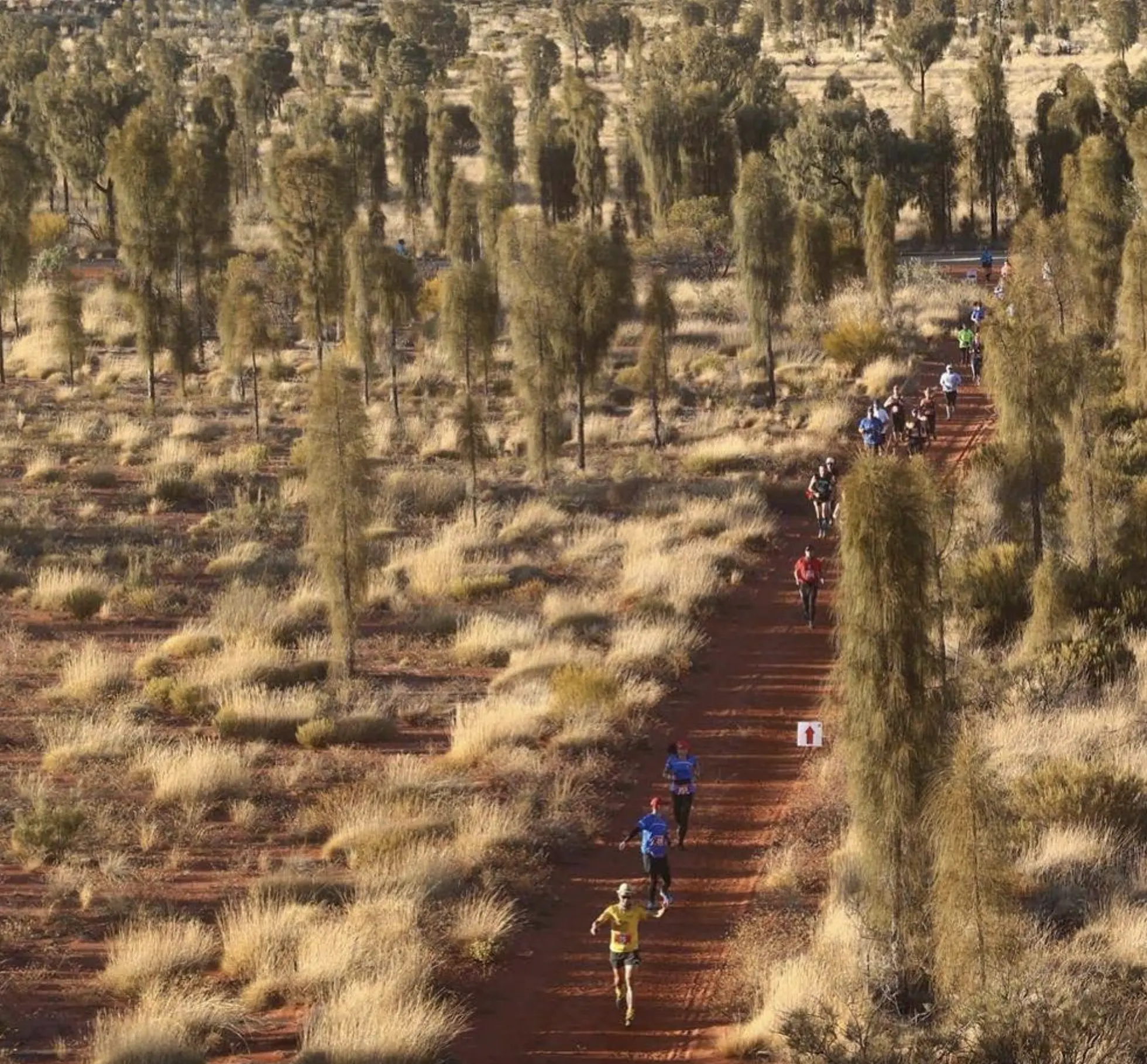 Outback Marathon: A Run Through Australia's Red Centre